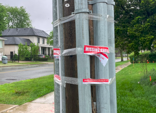 Toronto: Missing Teen Flyers Torn Down in Disturbing Echo of Post-Oct ...
